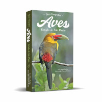 Condor-dos-andes – BLOG DAS AVES